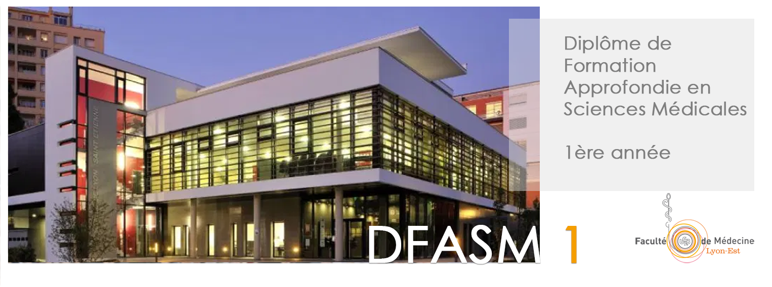 Tous les cours | Moodle - Lyon1